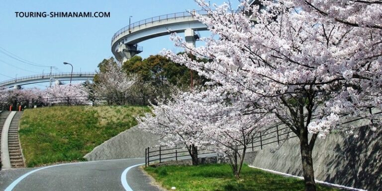 Complete guide to cycling the Shimanami Kaido: Routes, rentals, maps ...